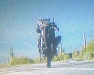 FAMOUS 7 MOTORCYCLE PHOTOS PICTURES of celebrities on Harley-Davidson ...